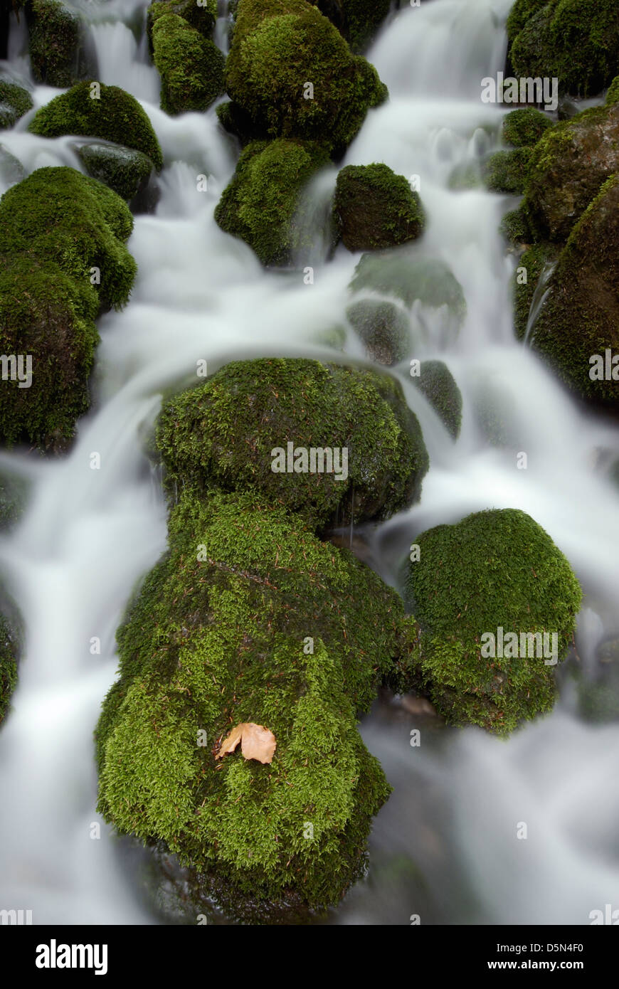 Stream water between rocks hi-res stock photography and images - Alamy