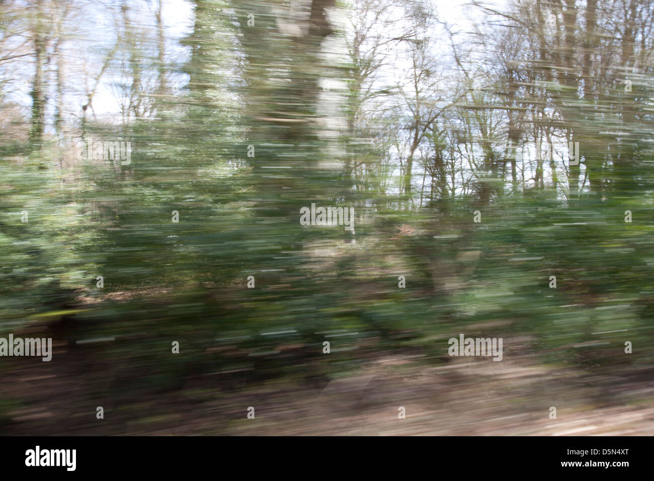 Bushes and trees viewed from a speeding car Stock Photo - Alamy