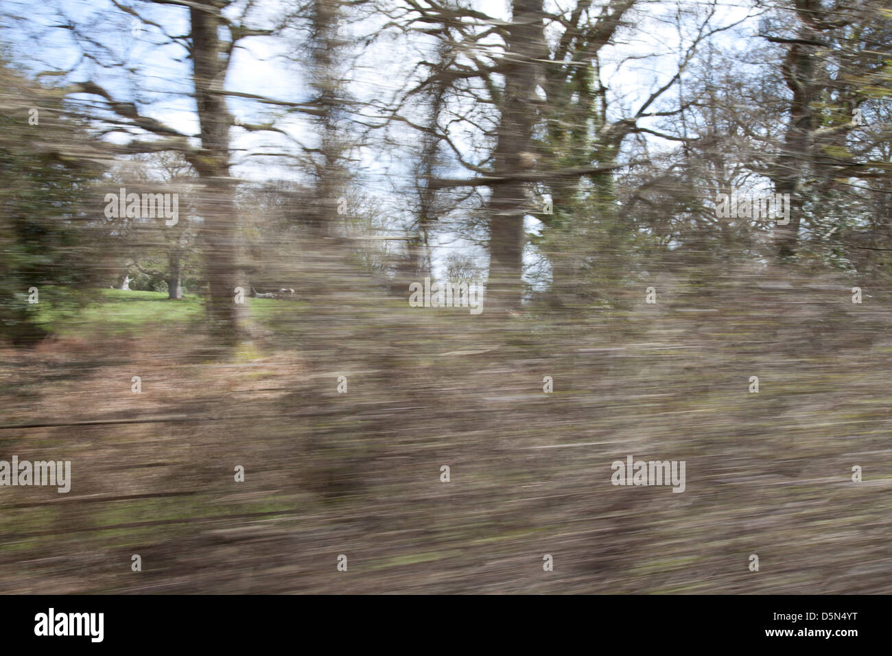 Bushes and trees viewed from a speeding car Stock Photo - Alamy