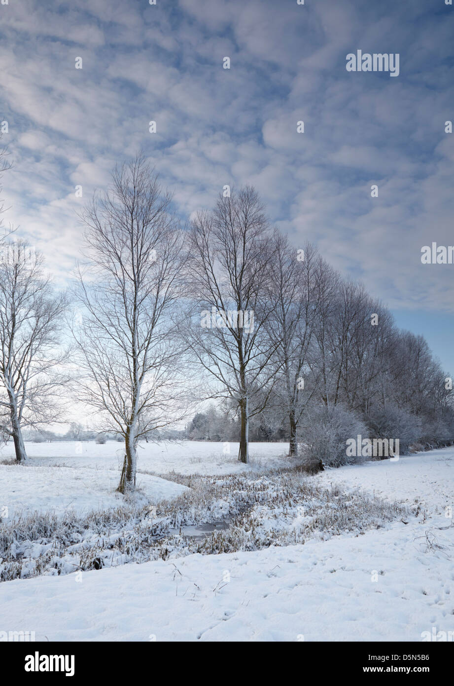 Norfolk winter snow hi-res stock photography and images - Alamy