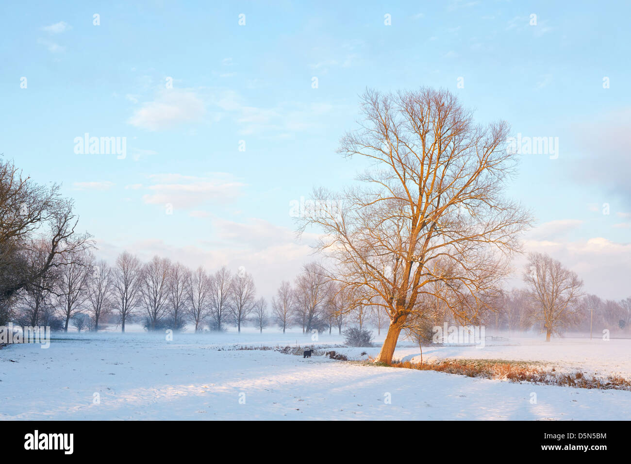 Norfolk winter snow hi-res stock photography and images - Alamy