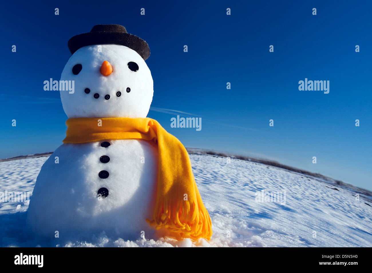 snowman look in sky and wait spring Stock Photo - Alamy
