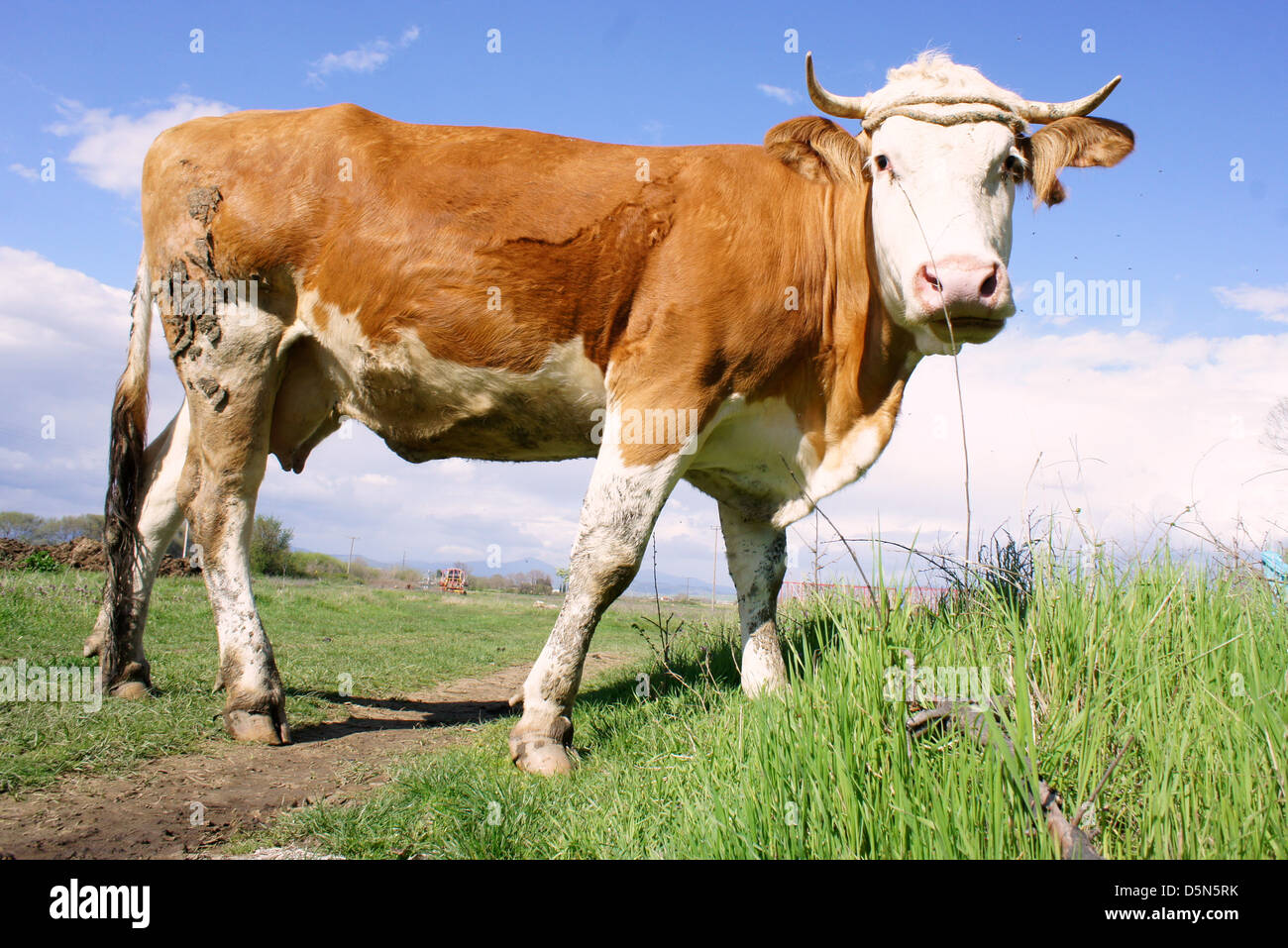 Thrace greece balkans hi-res stock photography and images - Alamy