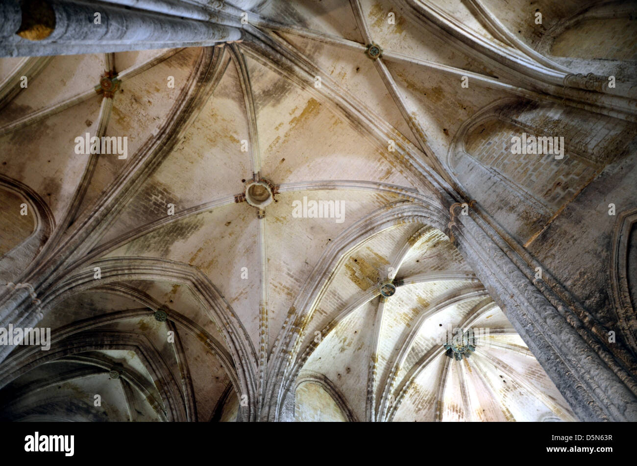 Groined hi-res stock photography and images - Alamy