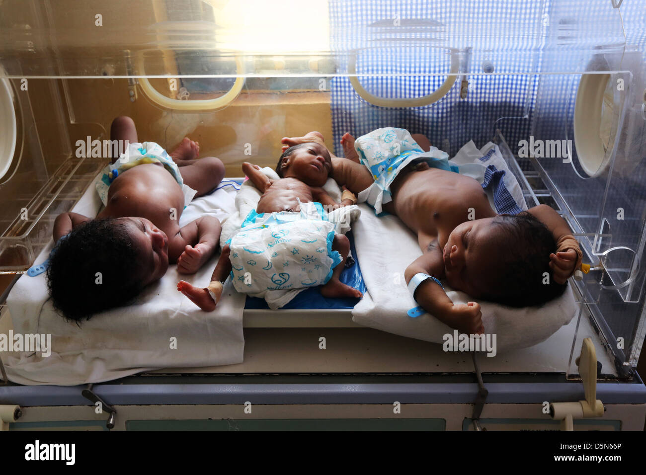 newborn premature babies in the maternity area of the Holy Family ...