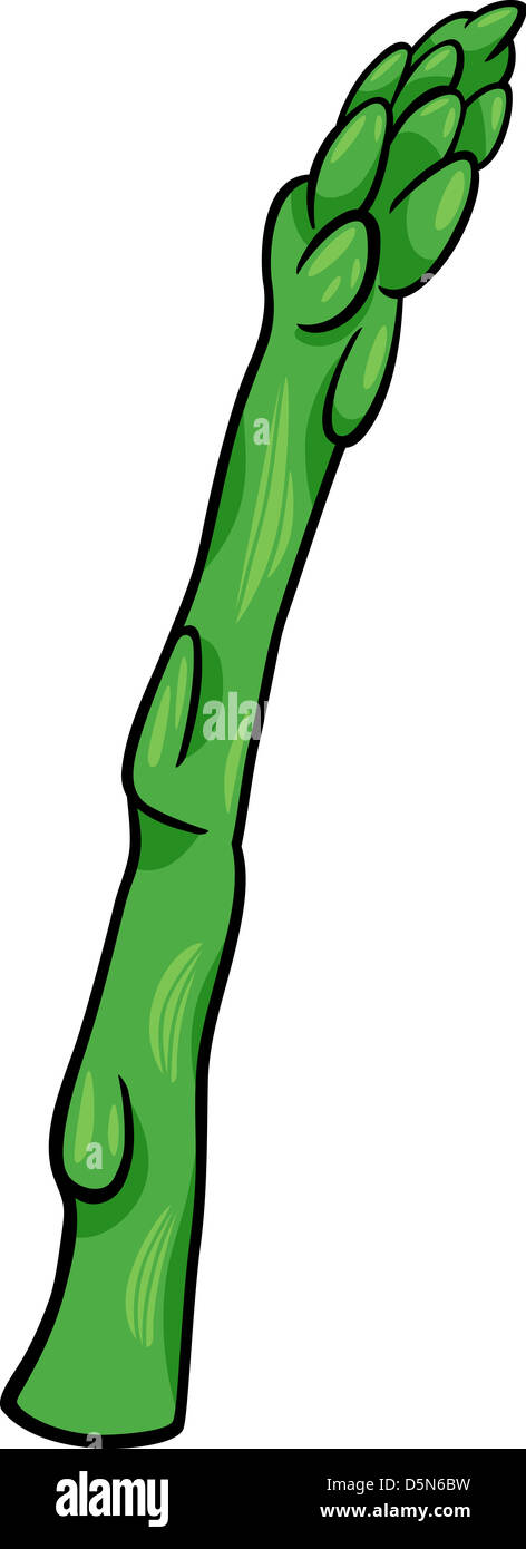 Cartoon Illustration of Asparagus Vegetable Food Object Stock Photo - Alamy