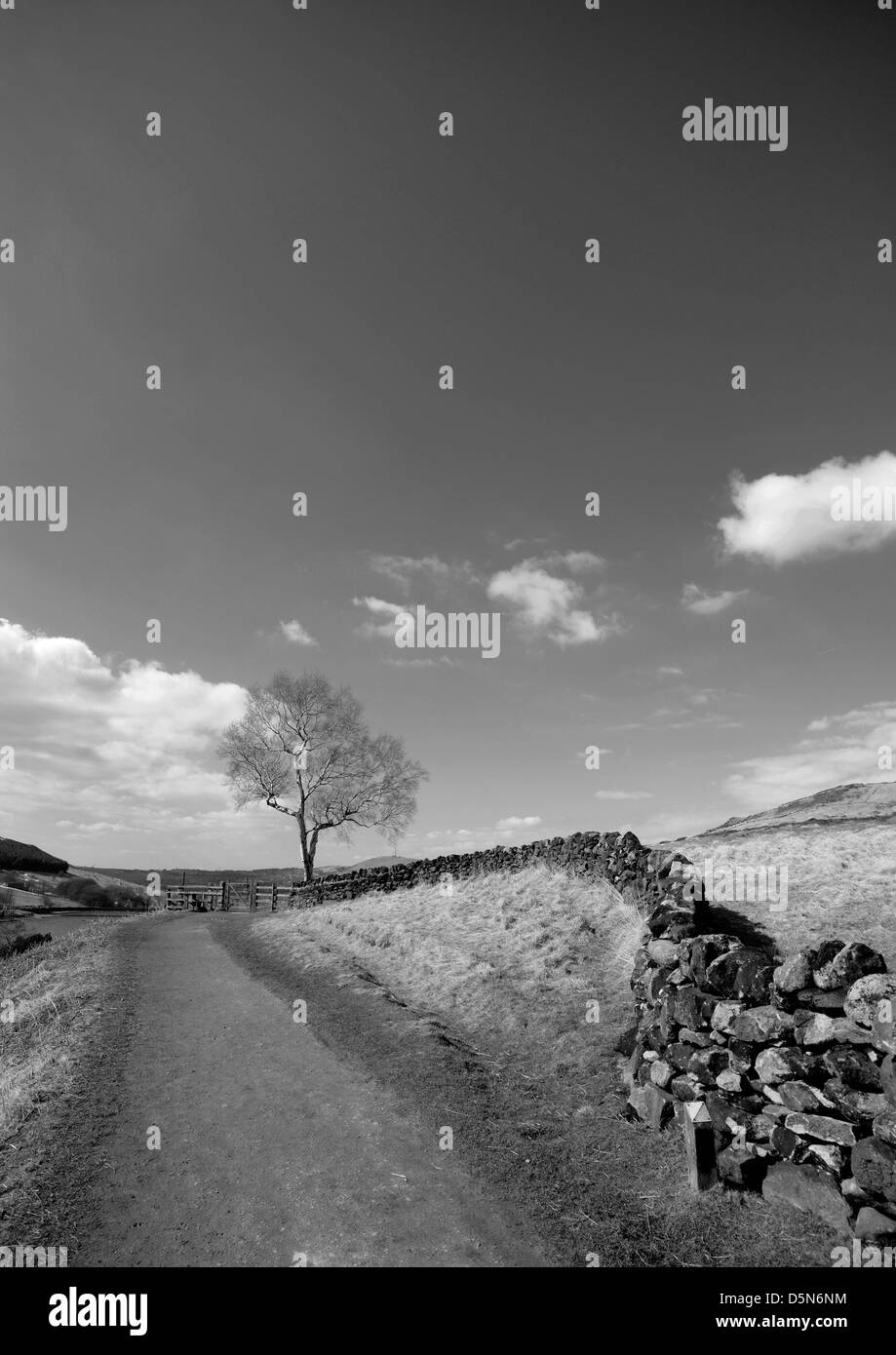 Country Lane on a spring day Stock Photo - Alamy