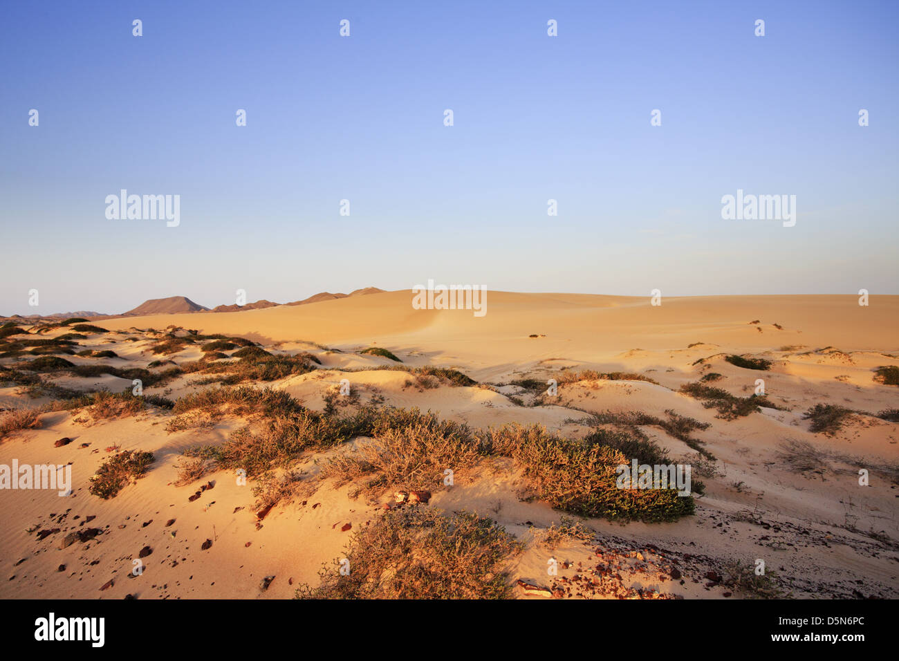 Scrub terrain hi-res stock photography and images - Alamy
