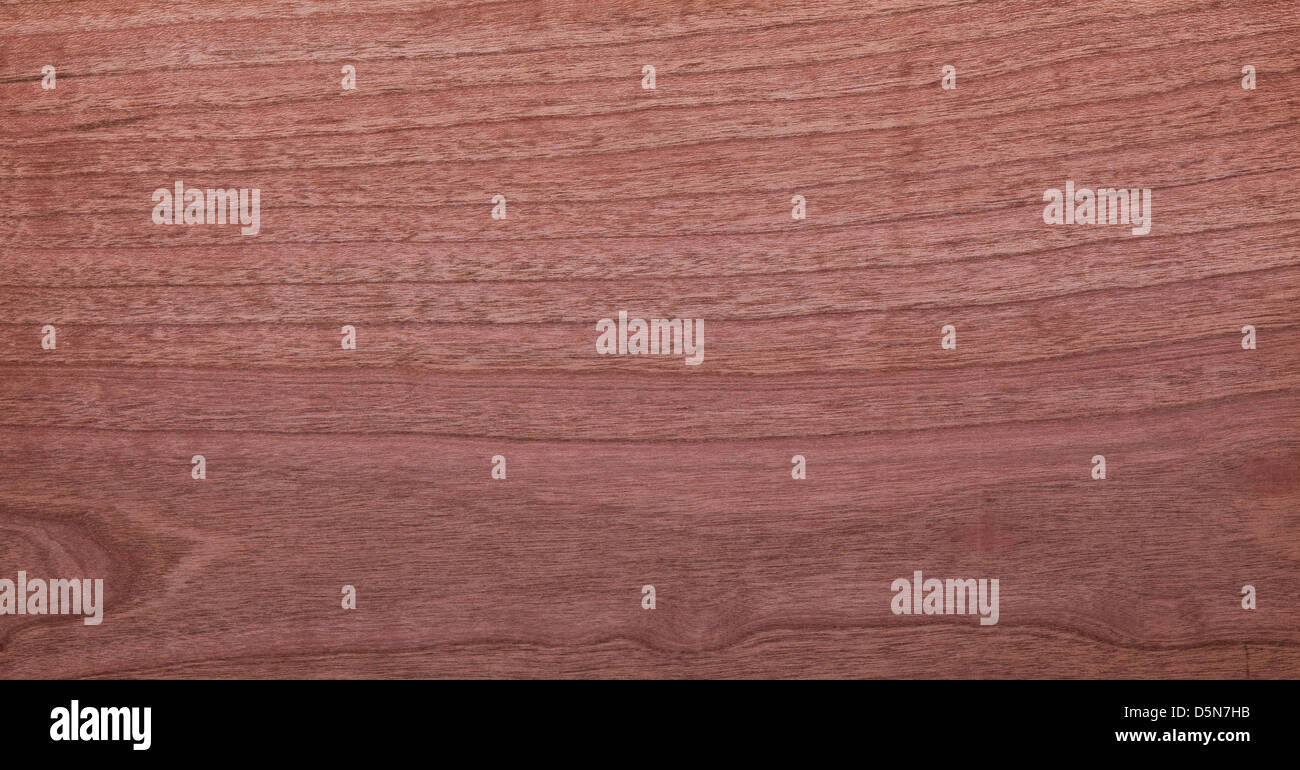 closeup image of natural wood texture Stock Photo - Alamy