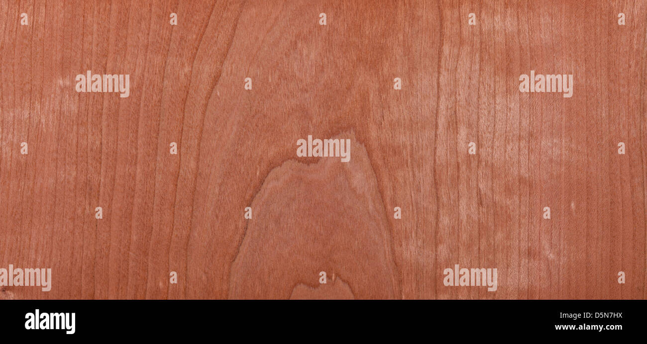 closeup image of natural wood texture Stock Photo - Alamy