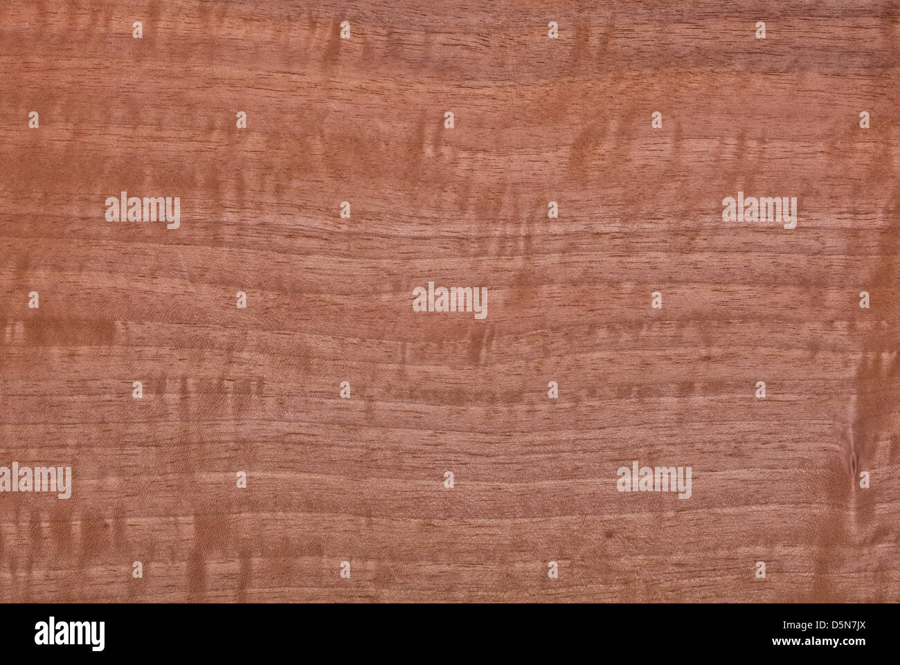 closeup image of natural wood texture Stock Photo - Alamy