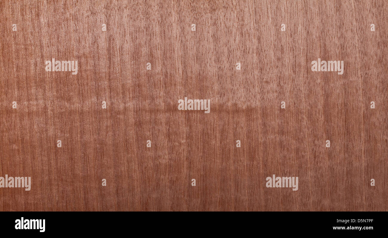 closeup image of natural wood texture Stock Photo - Alamy