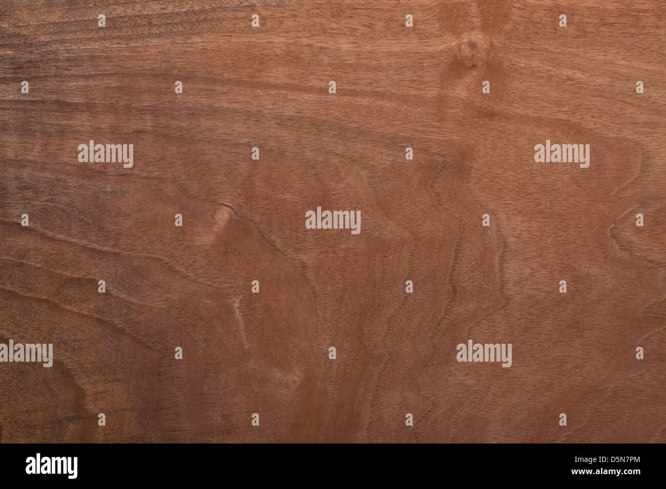 closeup image of natural wood texture Stock Photo - Alamy