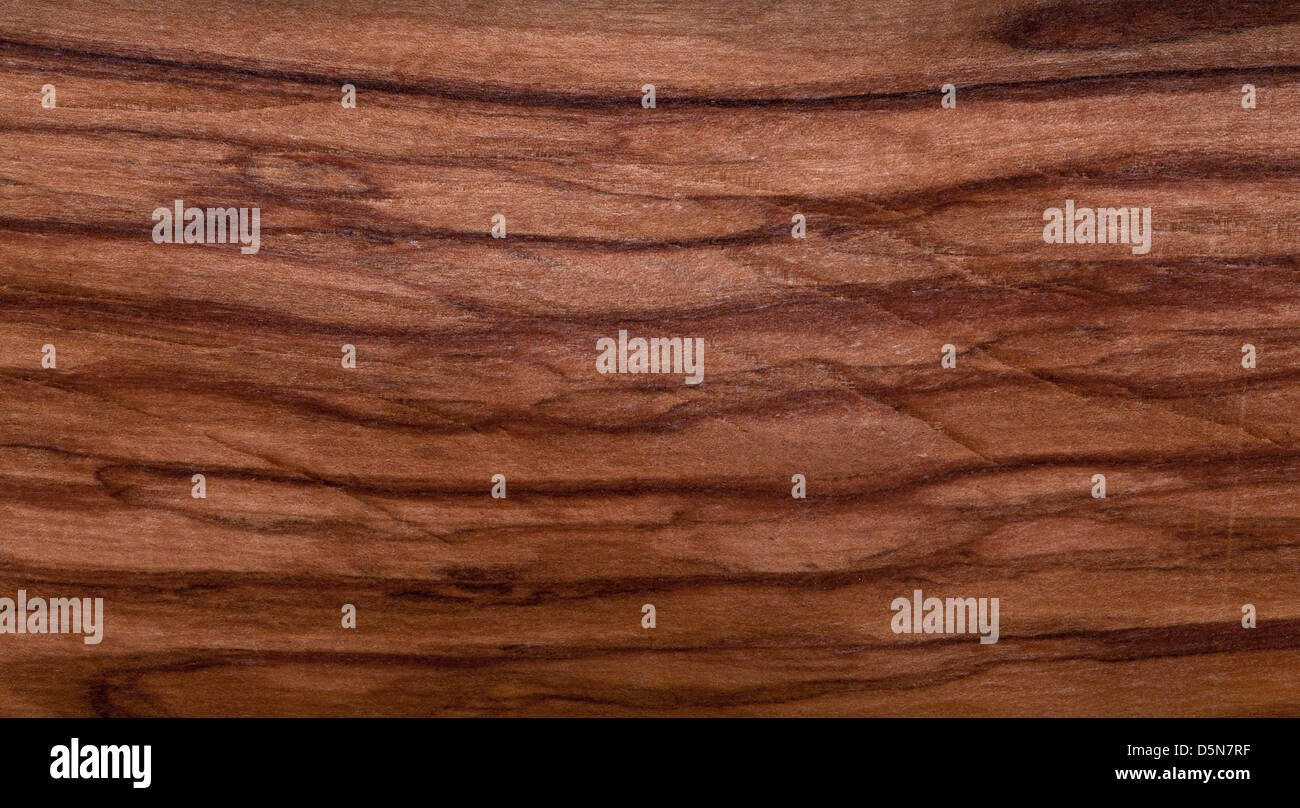closeup image of natural wood texture Stock Photo - Alamy