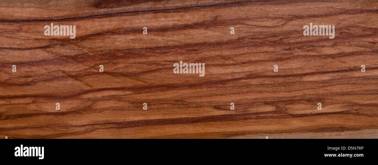 closeup image of natural wood texture Stock Photo - Alamy