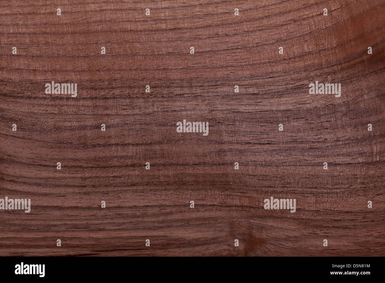 closeup image of natural wood texture Stock Photo - Alamy
