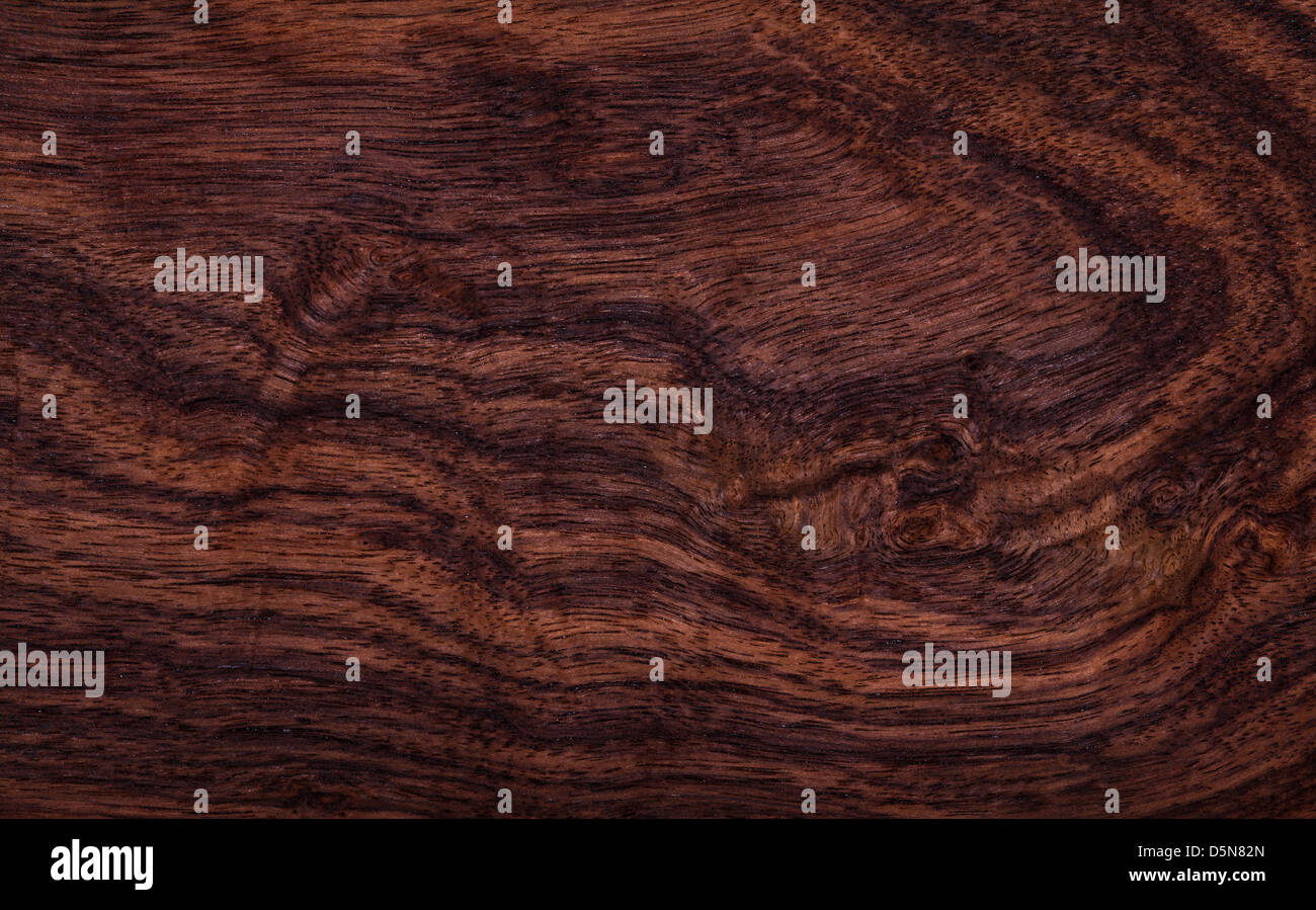 closeup image of natural wood texture Stock Photo - Alamy