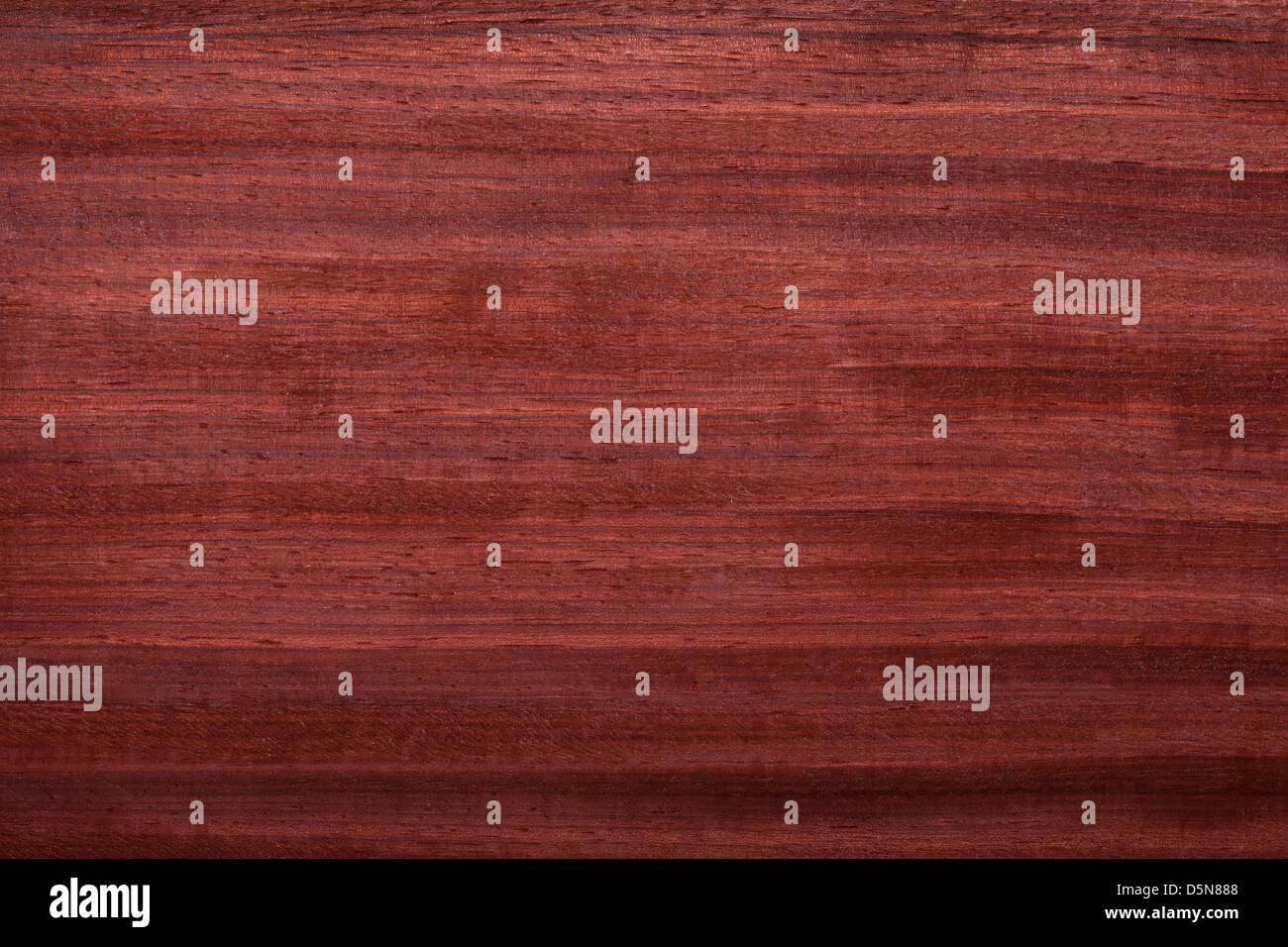 closeup image of natural wood texture Stock Photo - Alamy