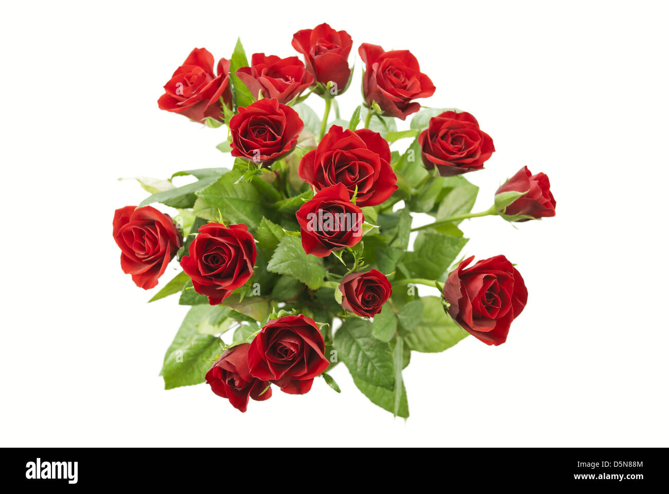 Bunch of red roses isolated on white background Stock Photo - Alamy