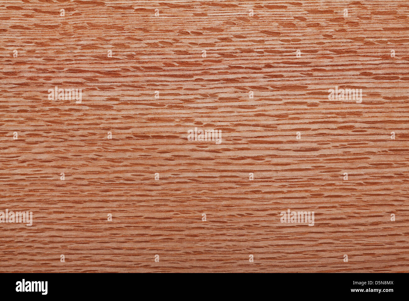 closeup image of natural wood texture Stock Photo - Alamy