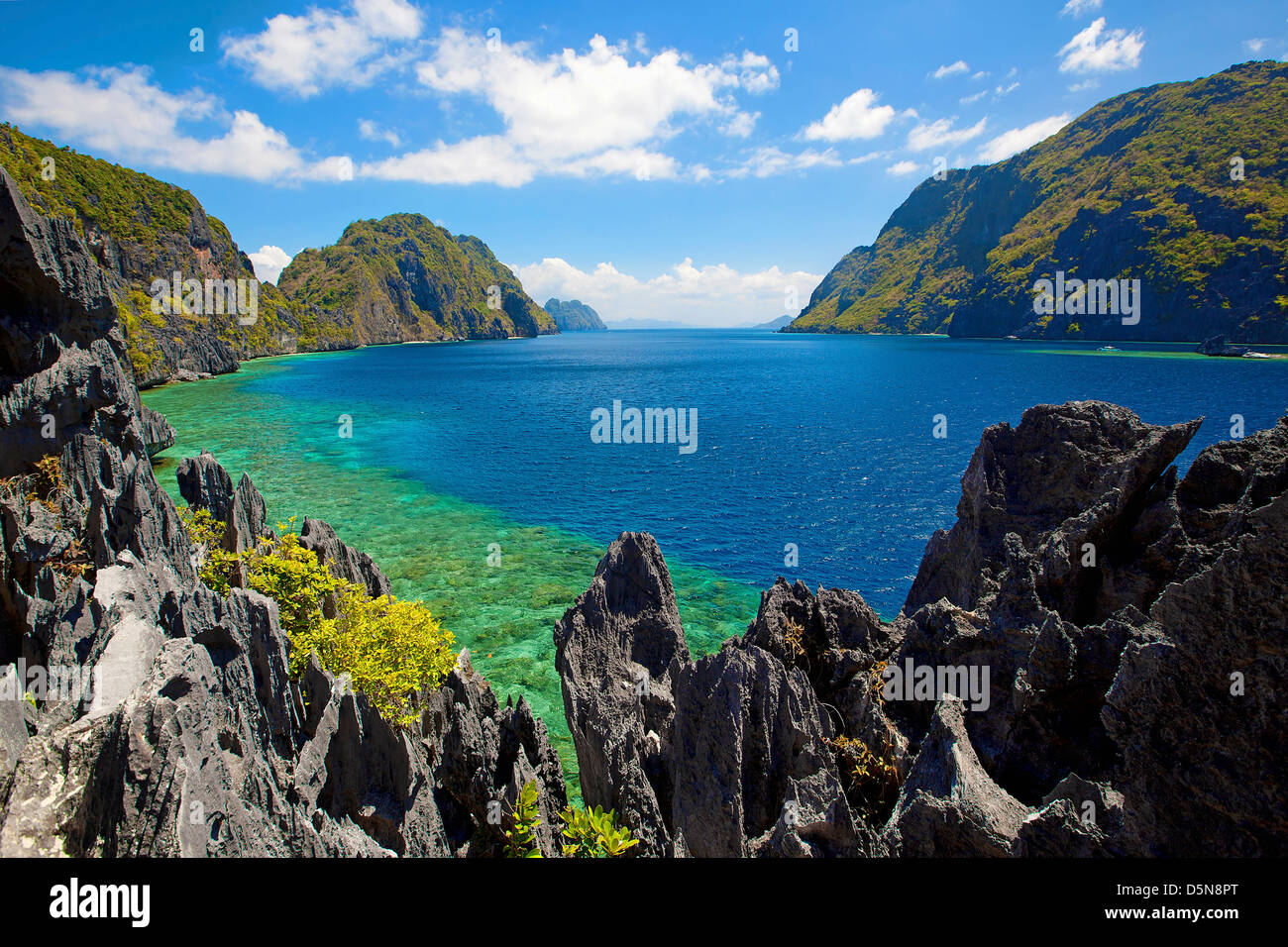 El nido hi-res stock photography and images - Alamy