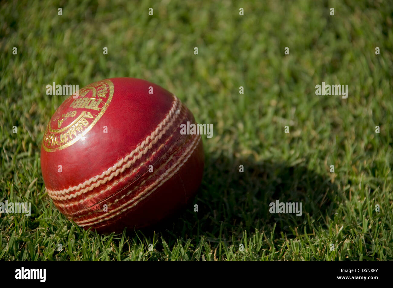 Close-up of a cricket ball Stock Photo - Alamy