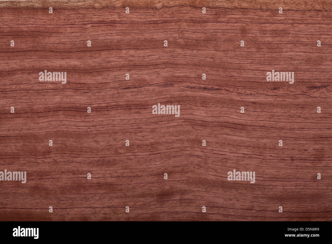 closeup image of natural wood texture Stock Photo - Alamy