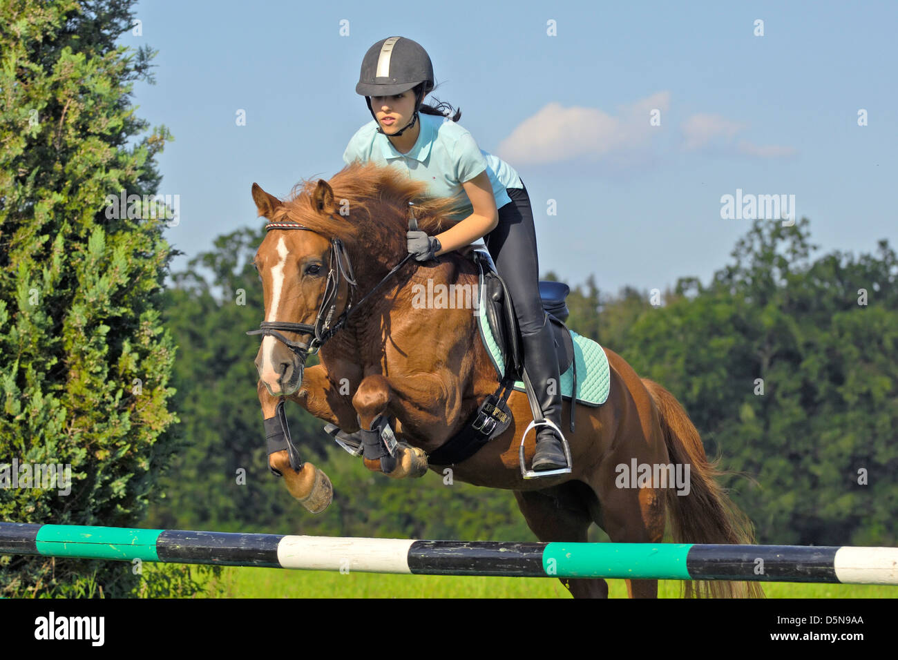 Girl riding pony jumping on hi-res stock photography and images - Alamy