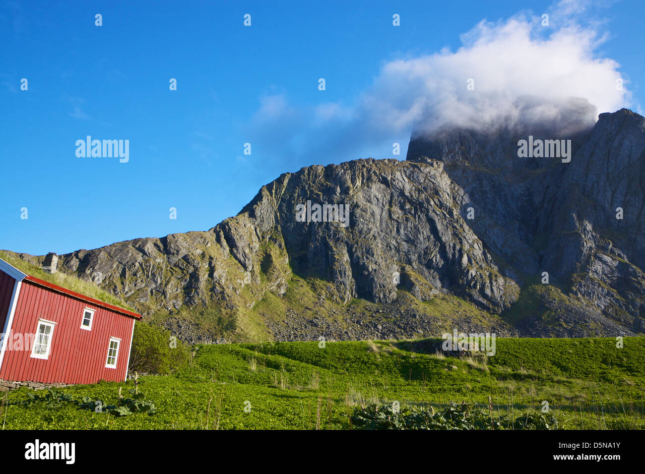 Traditional red norwegian house with green roof under the coastal ...