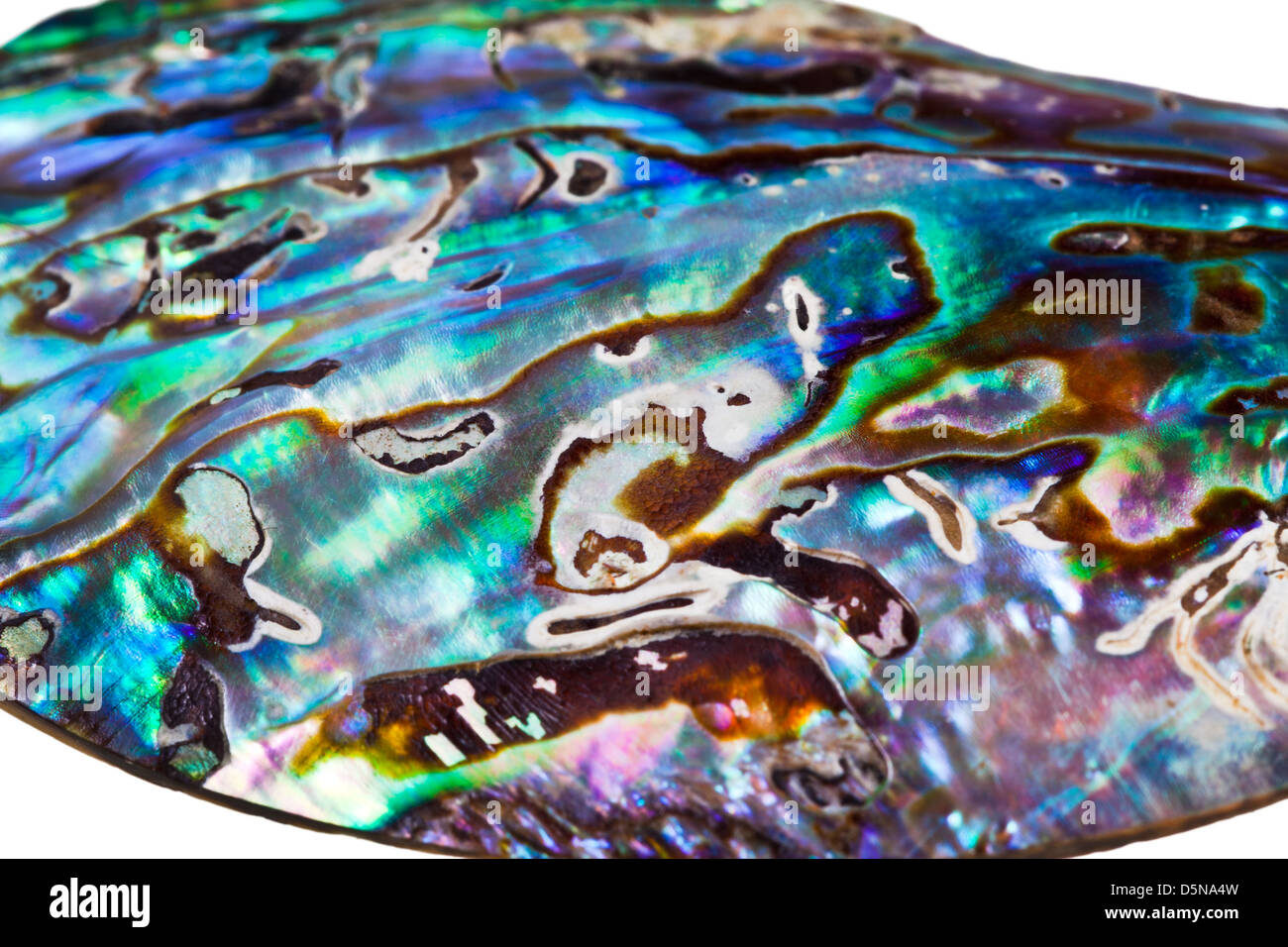 nacreous surface texture close up isolated on white background Stock ...