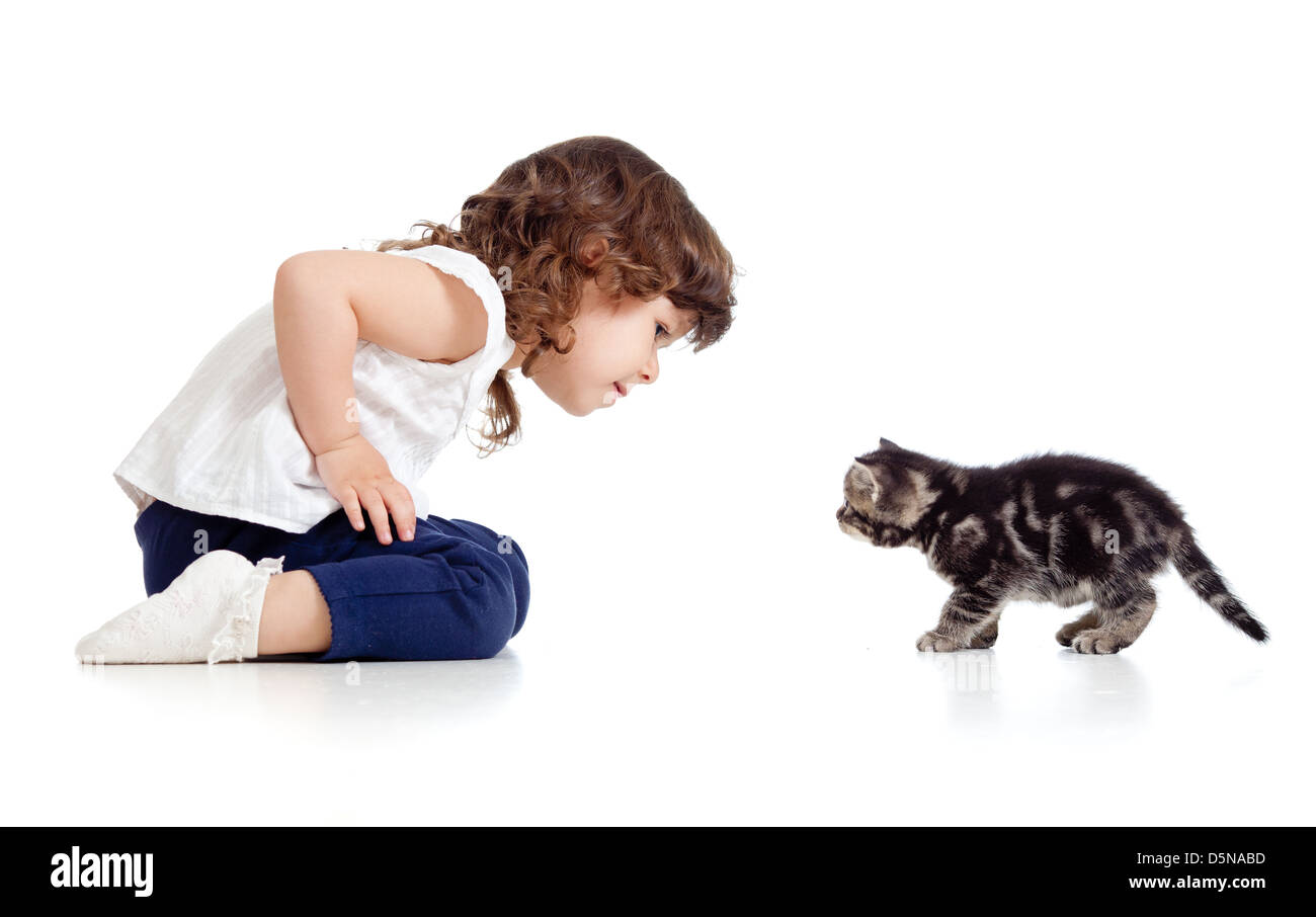 little kid and cat looking at each other on white background Stock ...