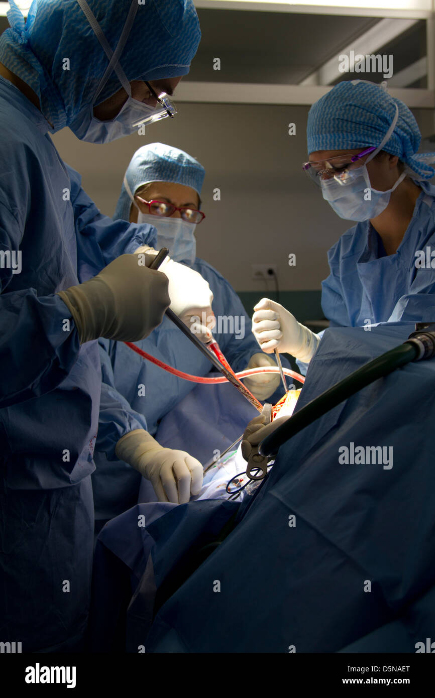 a surgical team Stock Photo - Alamy
