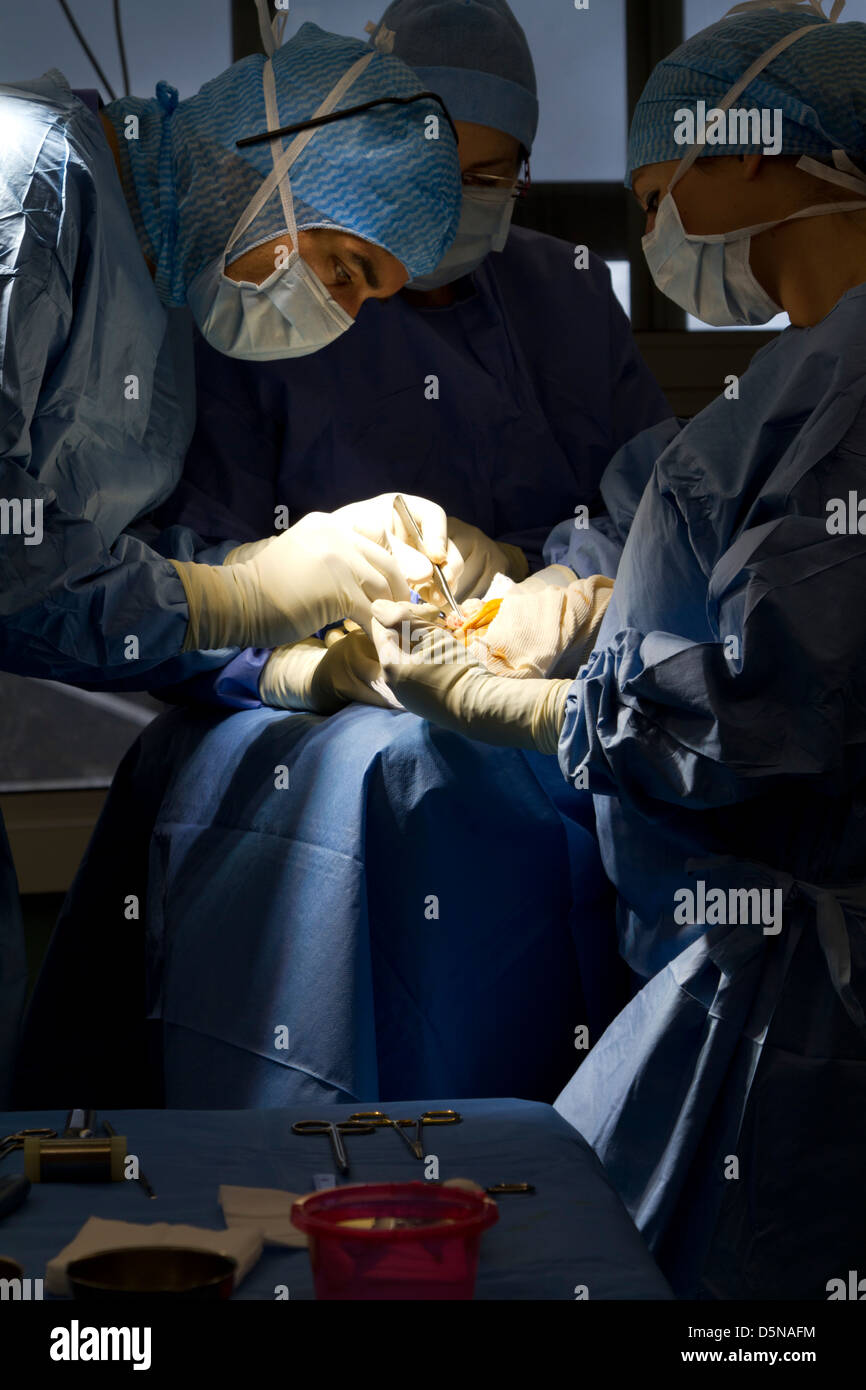 a surgical team Stock Photo - Alamy
