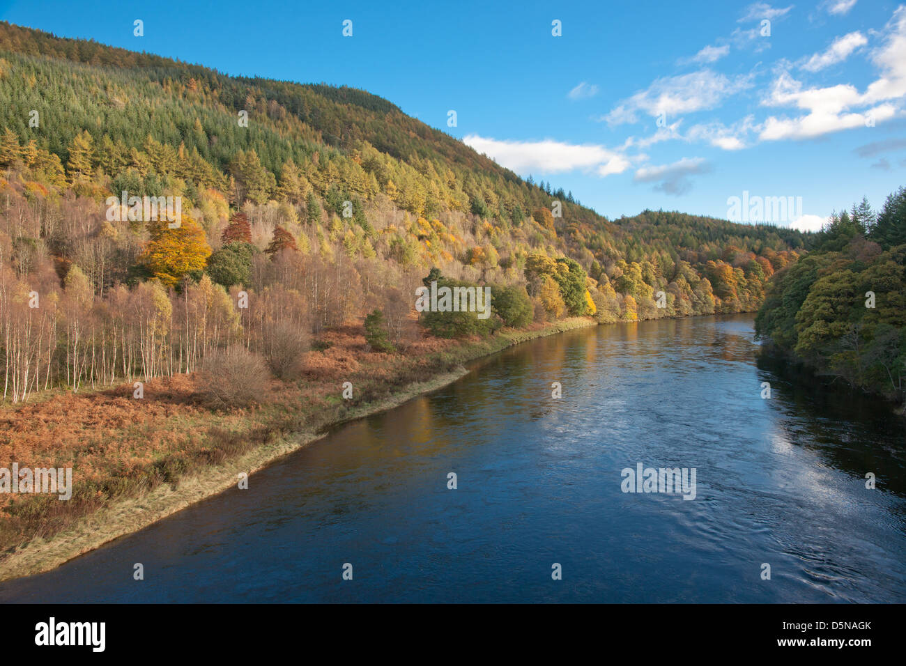 The River Tay, North of Dunkeld, Perthshire, Scotland Stock Photo - Alamy