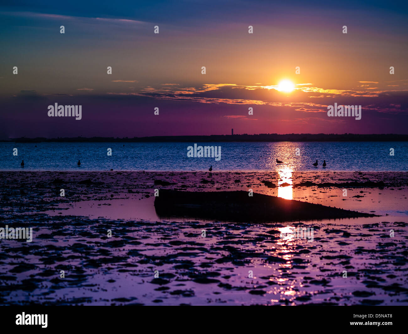 Blue hour sunset over sea Stock Photo - Alamy