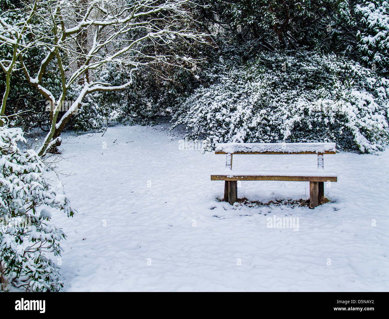 Bench snow hi-res stock photography and images - Alamy