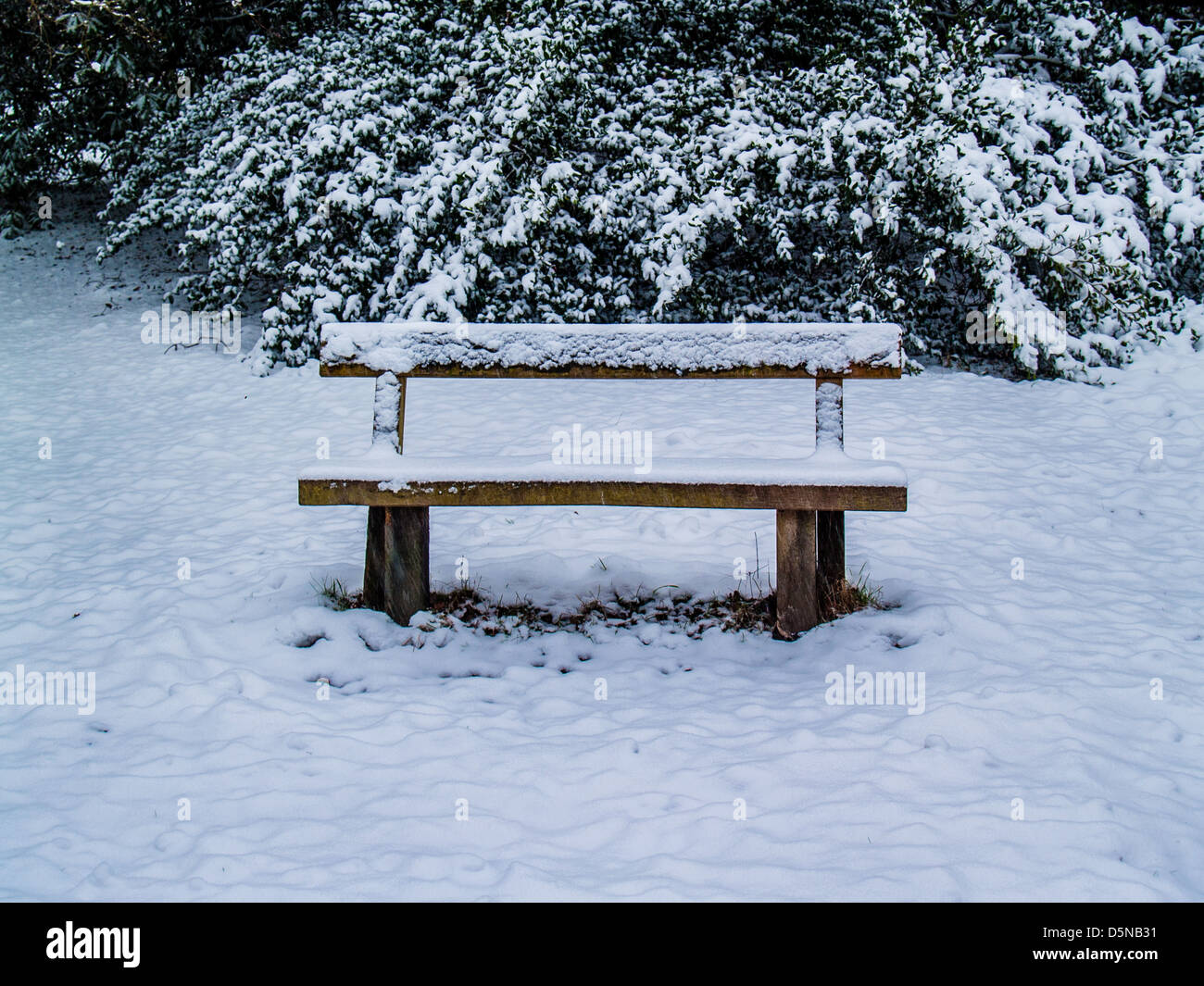 Snow covered Bench Stock Photo - Alamy