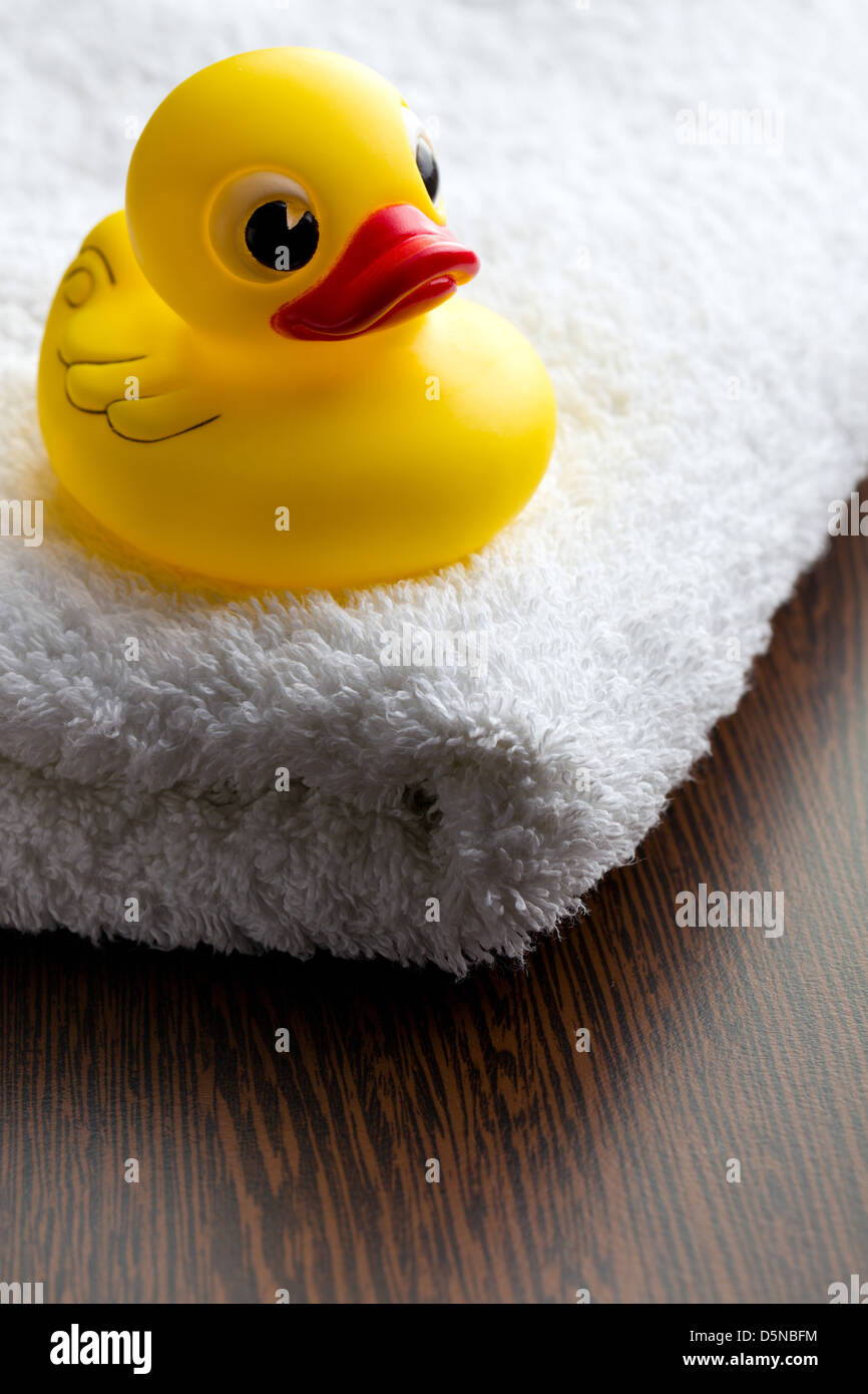 White duck yellow beak hi-res stock photography and images - Alamy