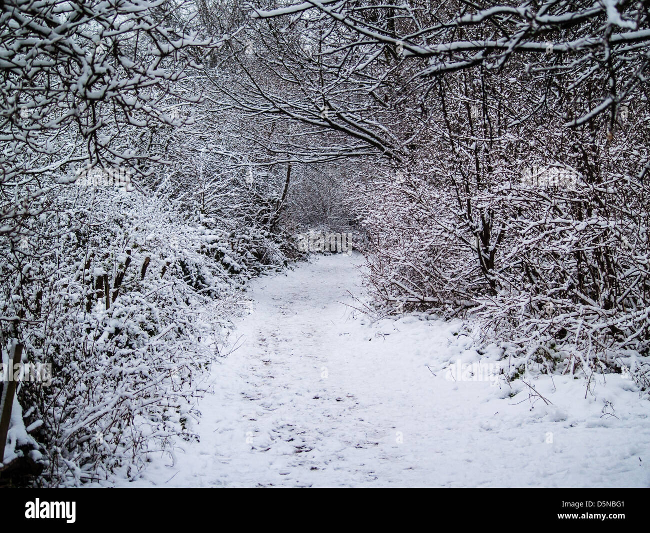 Snow scenes london hi-res stock photography and images - Alamy