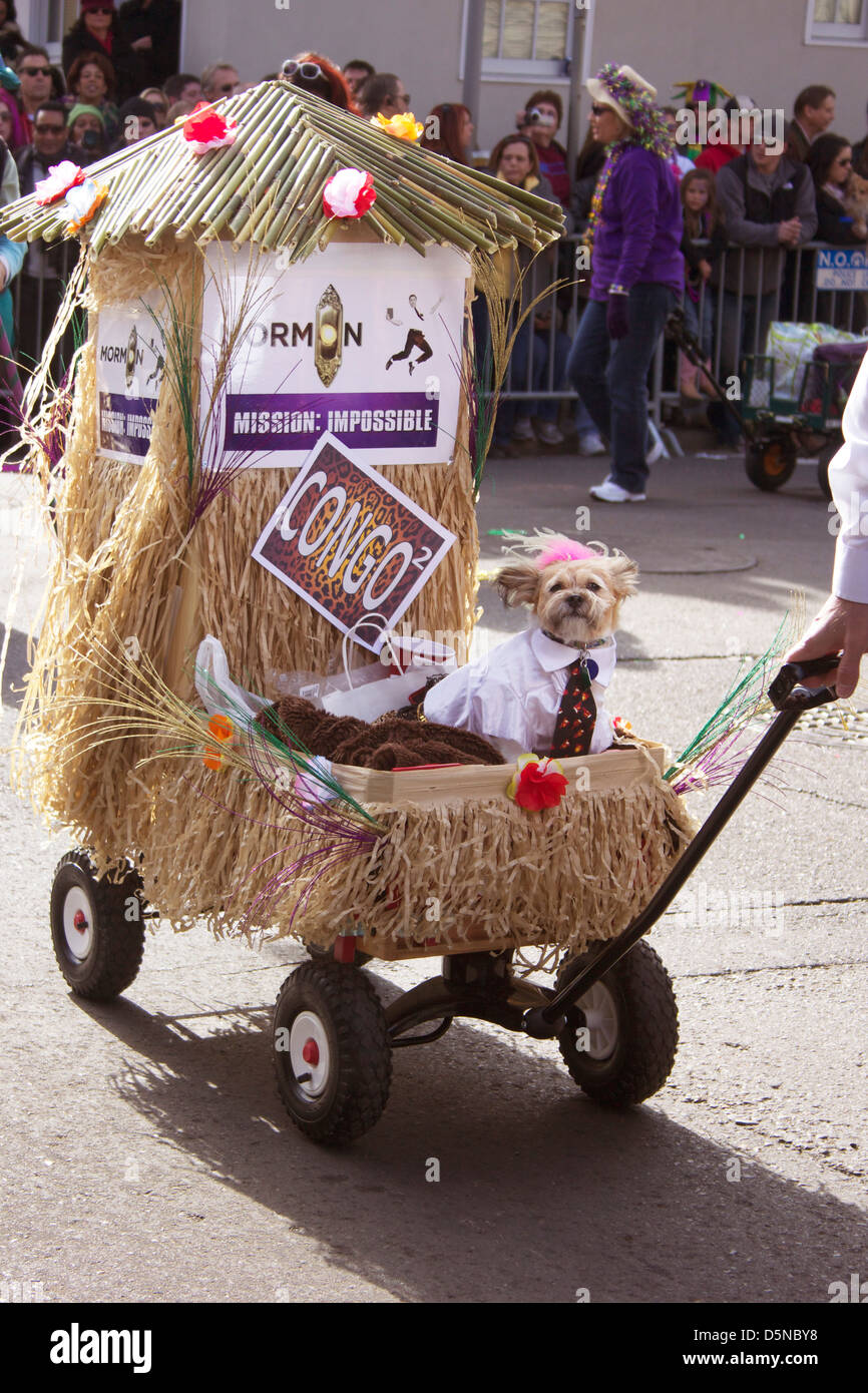 Barkus dog parade in the French Quarter Mardi Gras week, New Orleans ...