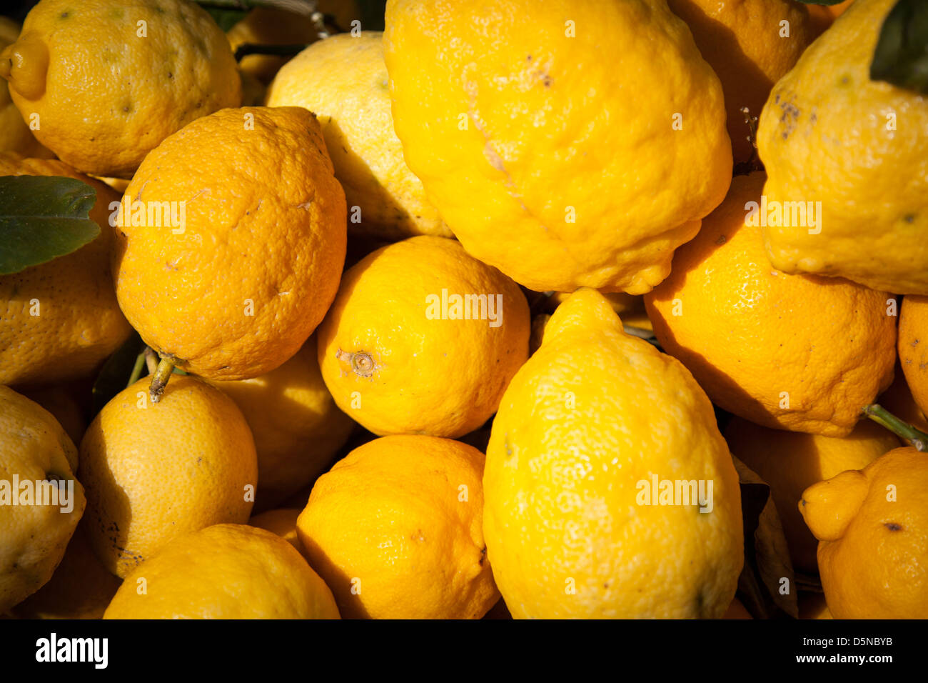 Lemons, Positano, Italy Stock Photo - Alamy