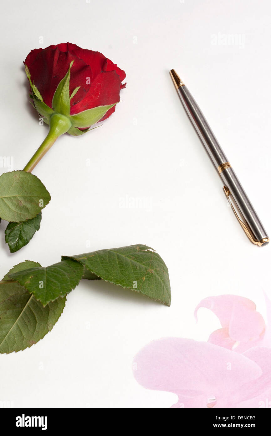 Red rose and pen lying on decorative paper Stock Photo - Alamy