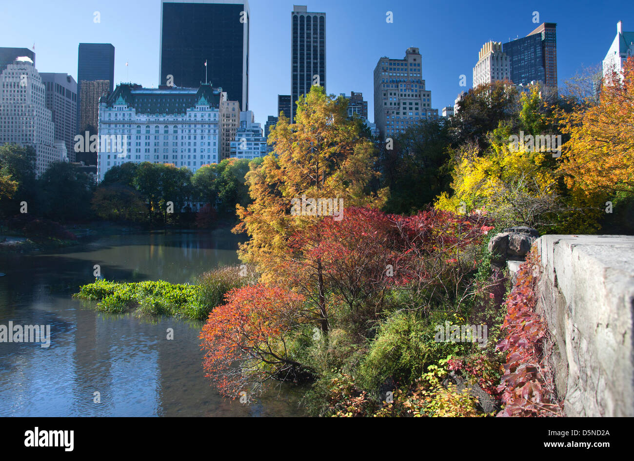 FALL FOLIAGE POND CENTRAL PARK SOUTH MANHATTAN NEW YORK CITY USA Stock ...