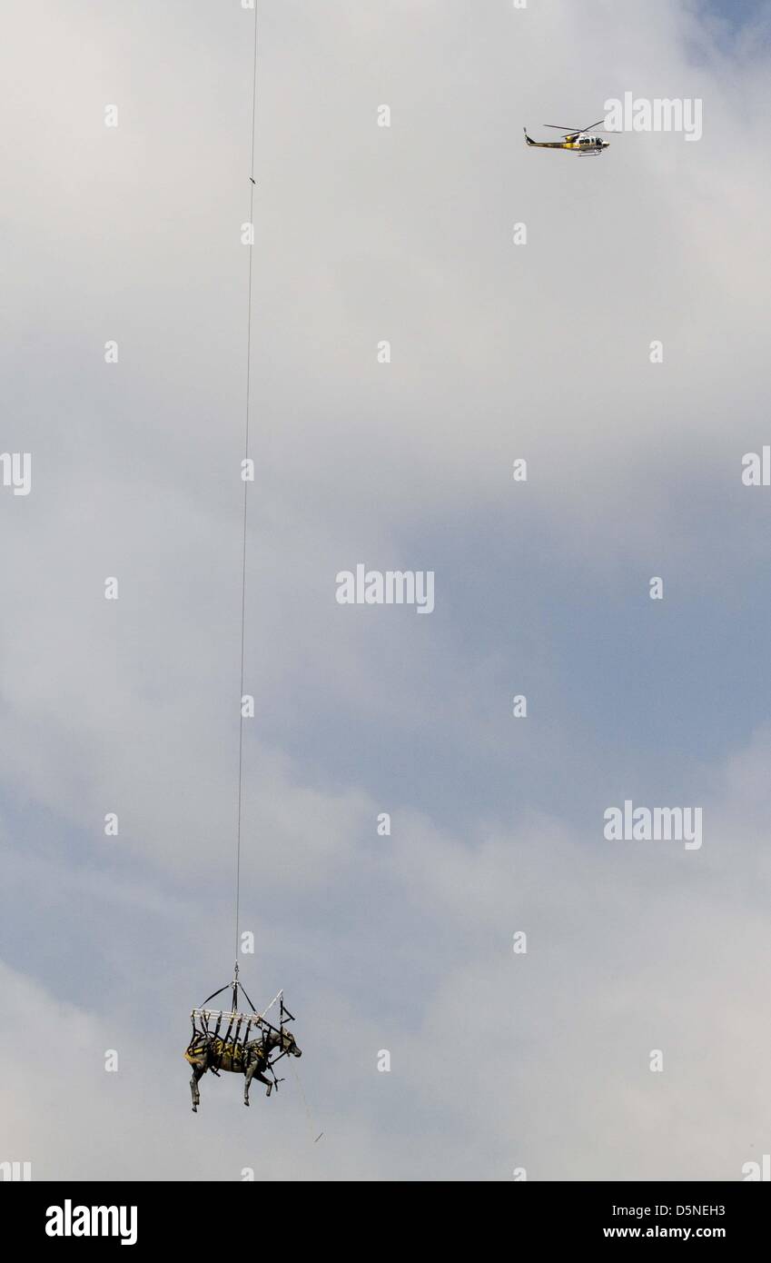 Los Angeles, California, USA. 5th April 2013. A Los Angeles County Fire ...