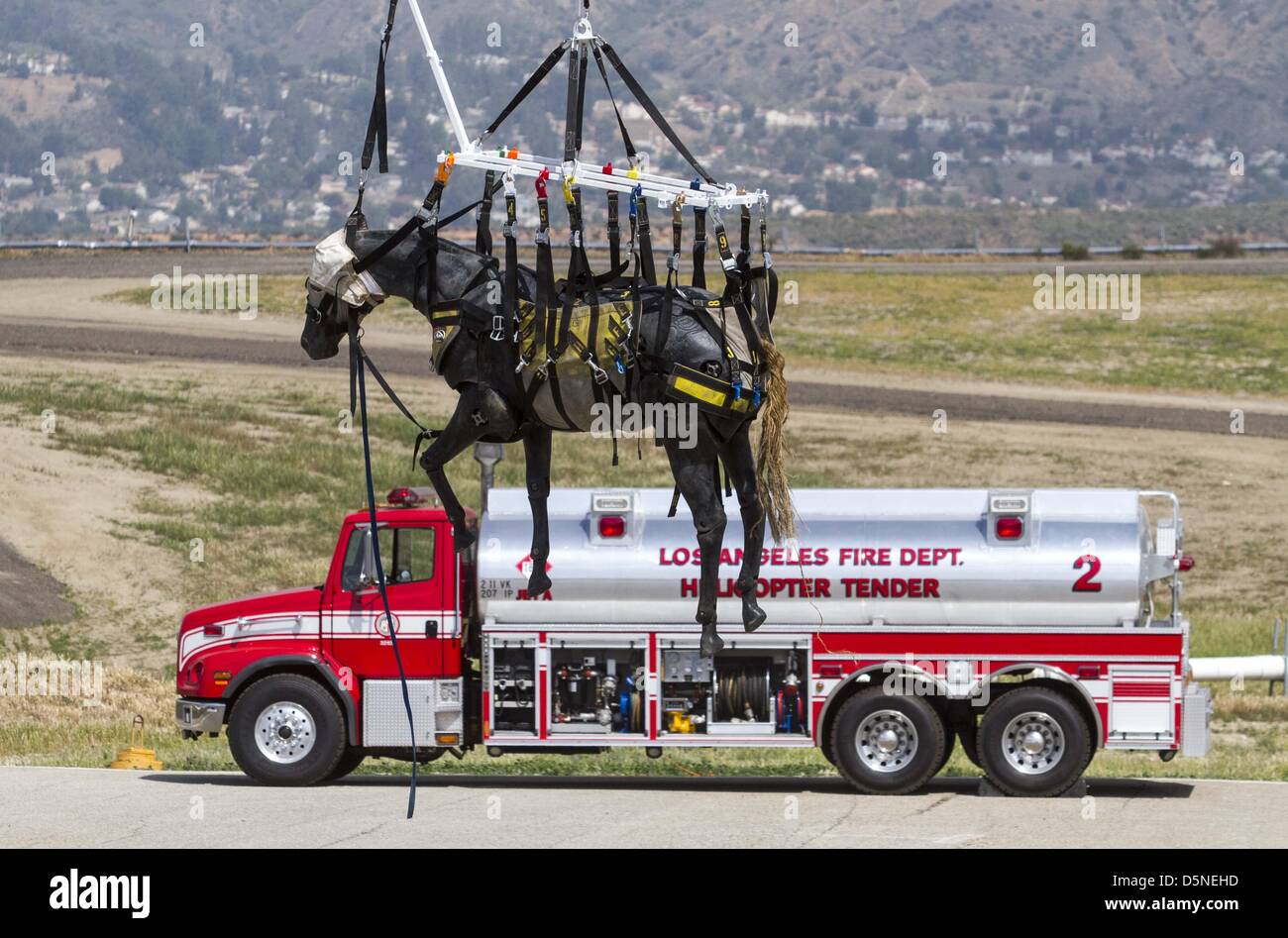 Los Angeles, California, USA. 5th April 2013. A horse dummy is rescued ...