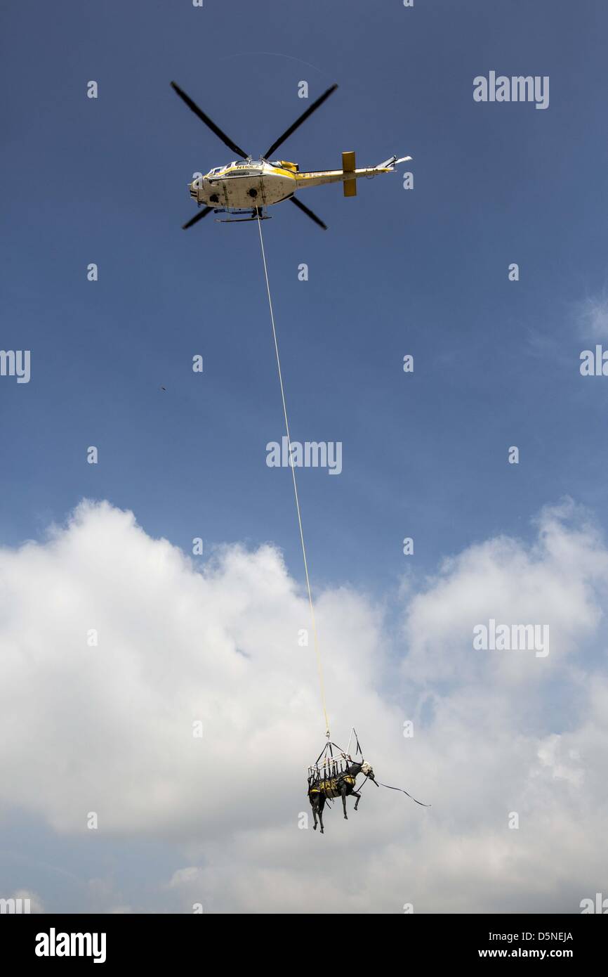 Los Angeles, California, USA. 5th April 2013. A Los Angeles County Fire ...