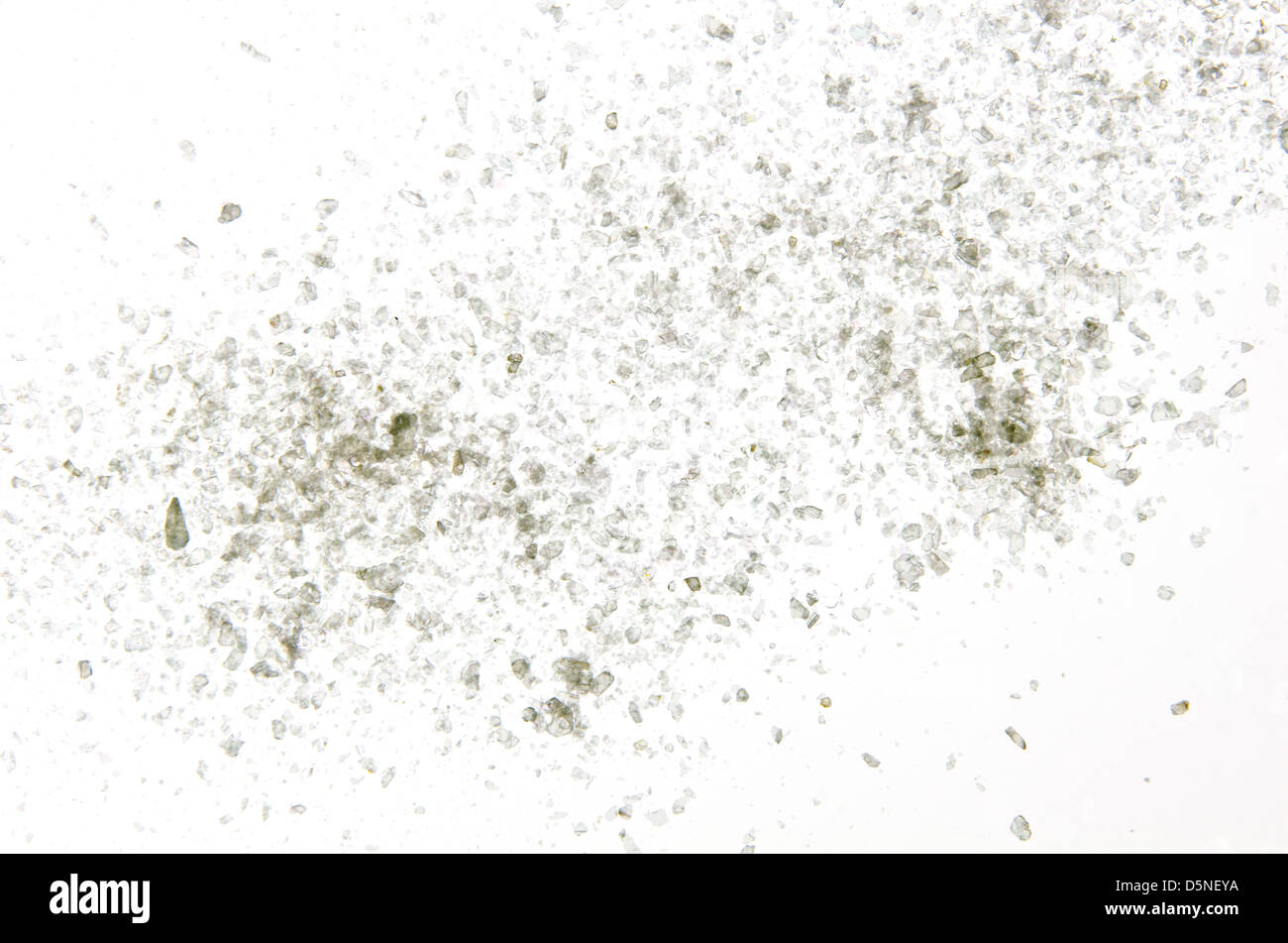 White mica texture hi-res stock photography and images - Alamy