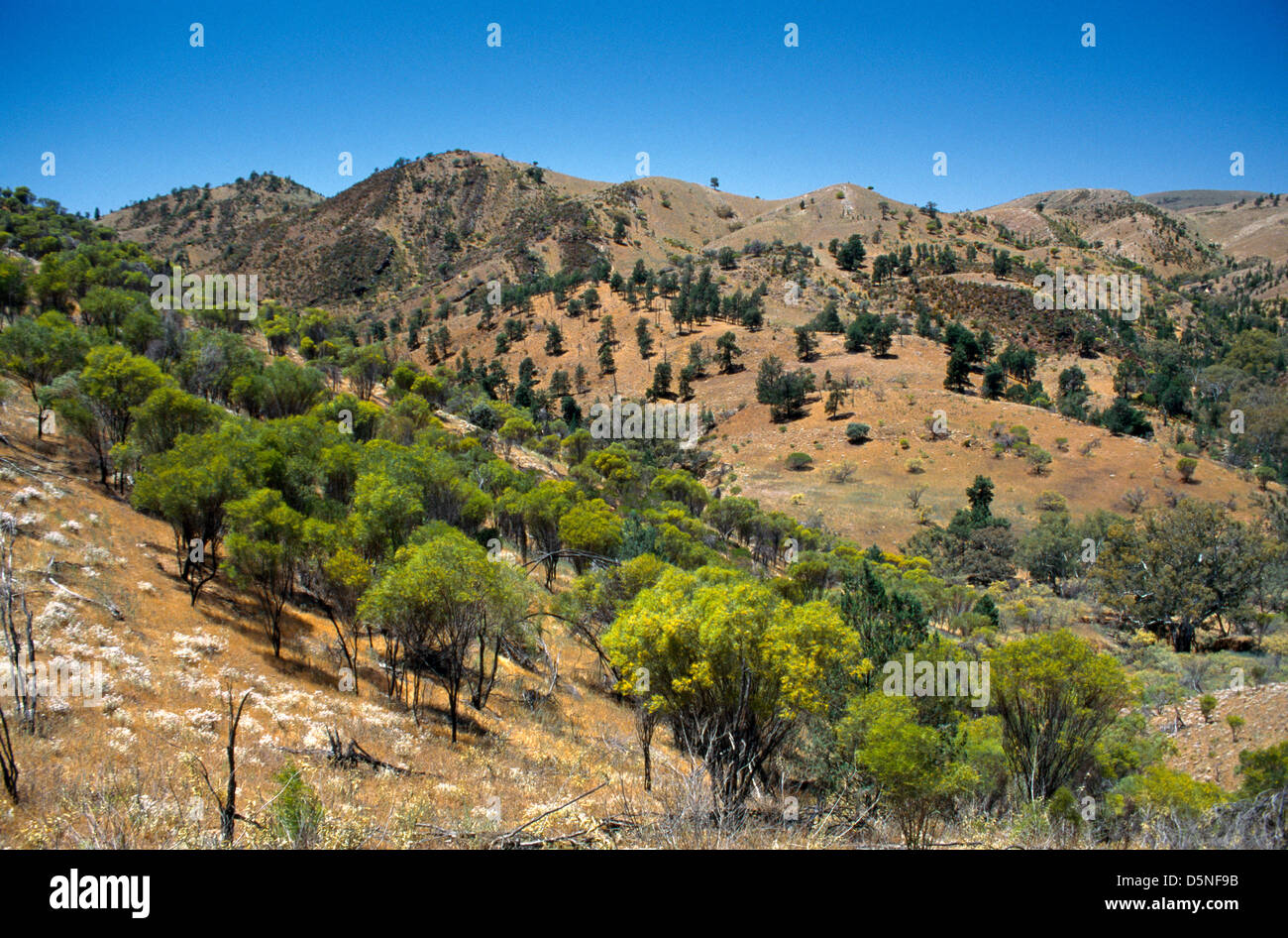 Abc range hi-res stock photography and images - Alamy