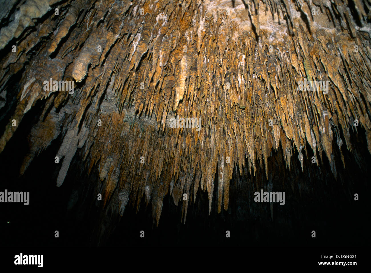 ngligi cave yallingup western australia Stock Photo - Alamy