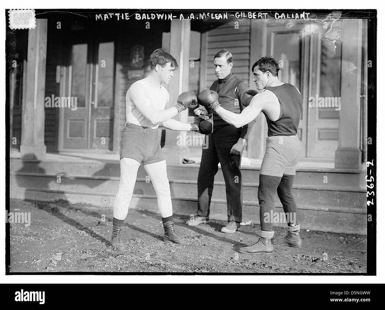 Gallant gilbert hi-res stock photography and images - Alamy